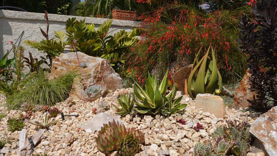 How to Achieve a Natural Look with Landscaping Using Rocks and Gravel ...